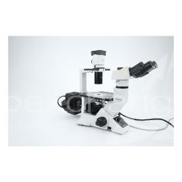 Olympus CKX41 Inverted Fluorescence Microscope Mik used with warranty ...